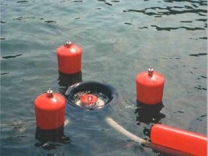 SKIMMER CON BOMBA DE TORNILLO DESMI TERMITE | SENTEC SL